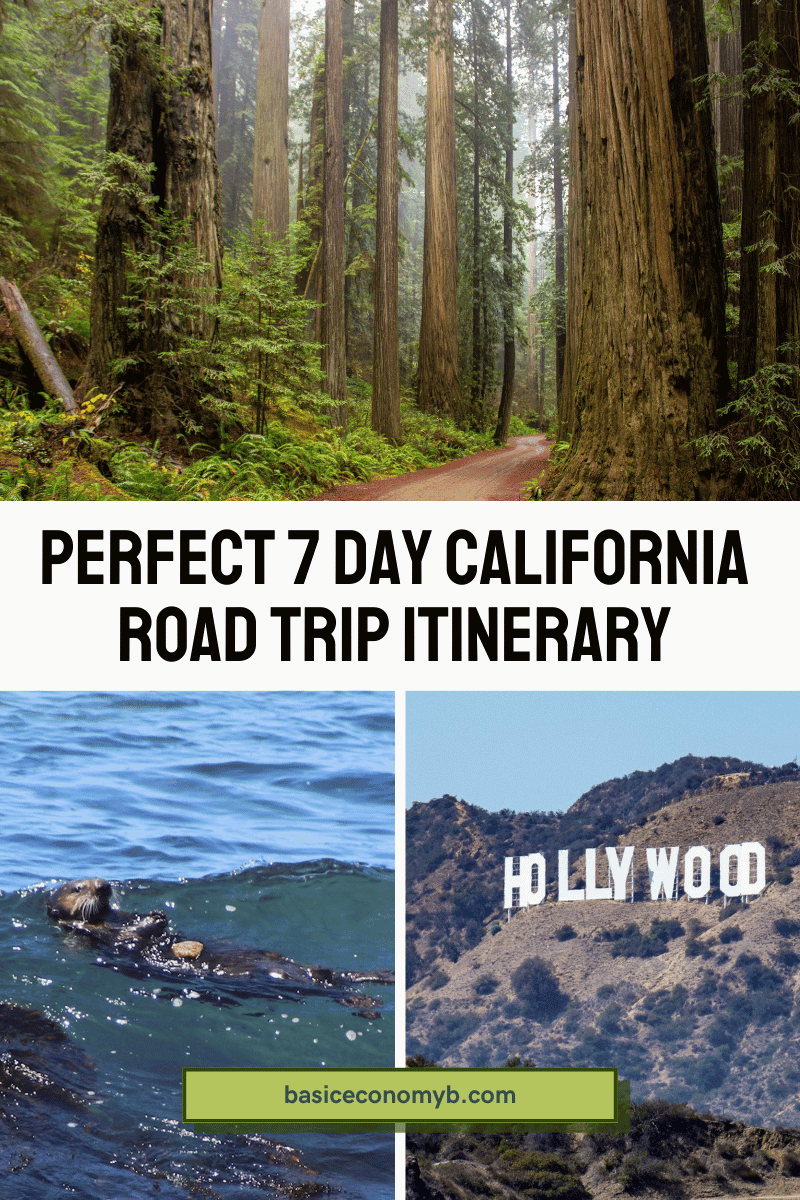 The Best 7 Day California Road Trip Itinerary